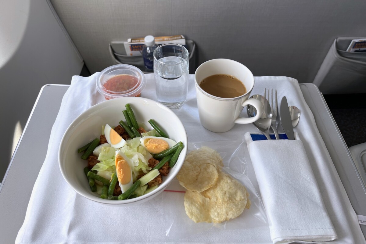 Singapore Airlines Business Class Boeing 737-800 NG (Trip Report 2023)